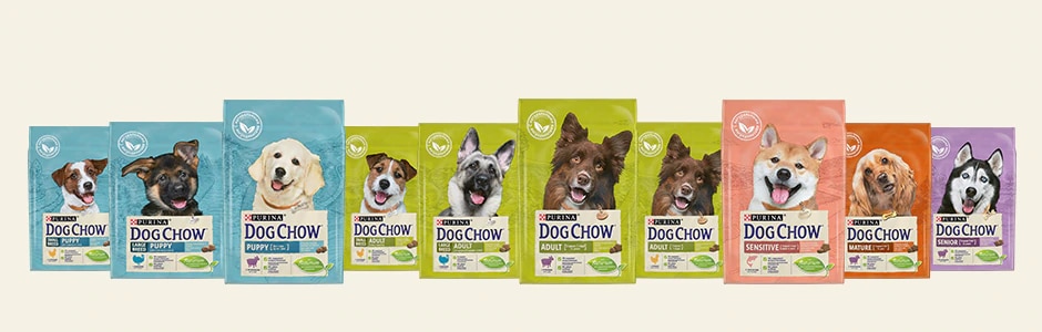 Сухой корм для собак Purina Dog Chow | Purina